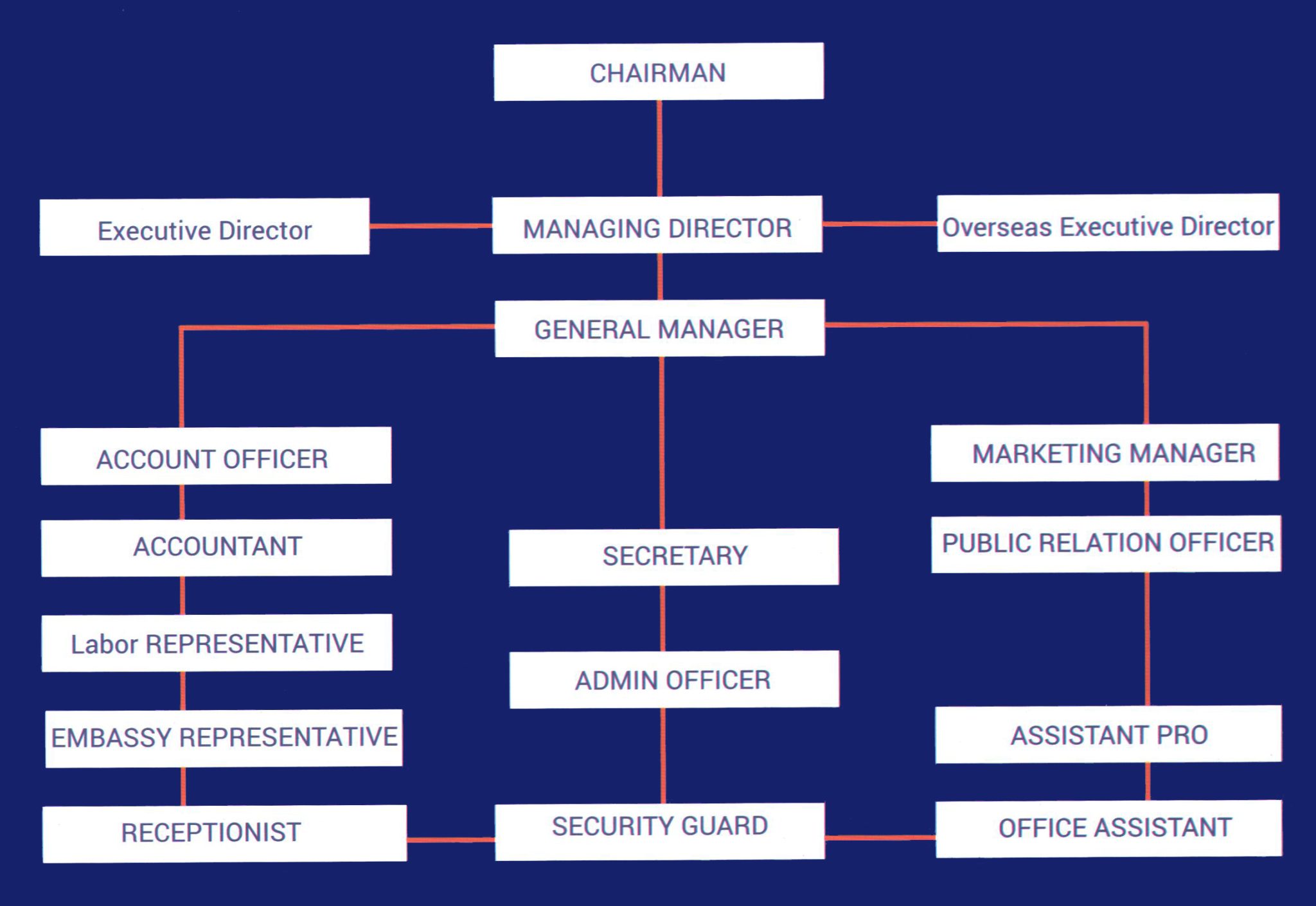Organization Structure – ALL ASIA OVERSEAS PVT. LTD.